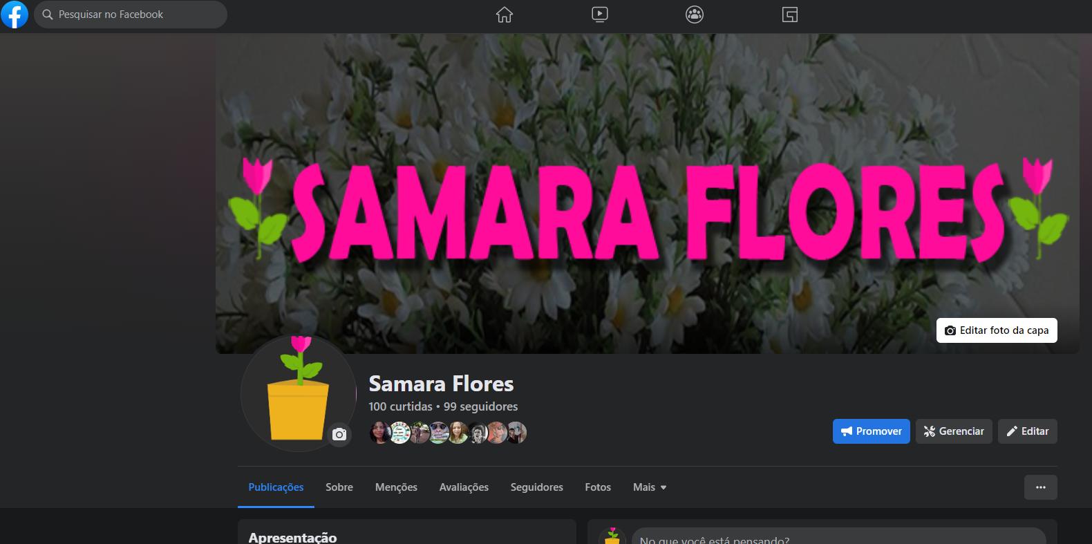 Mauricio Gomes -Web design - photografo- editor de video